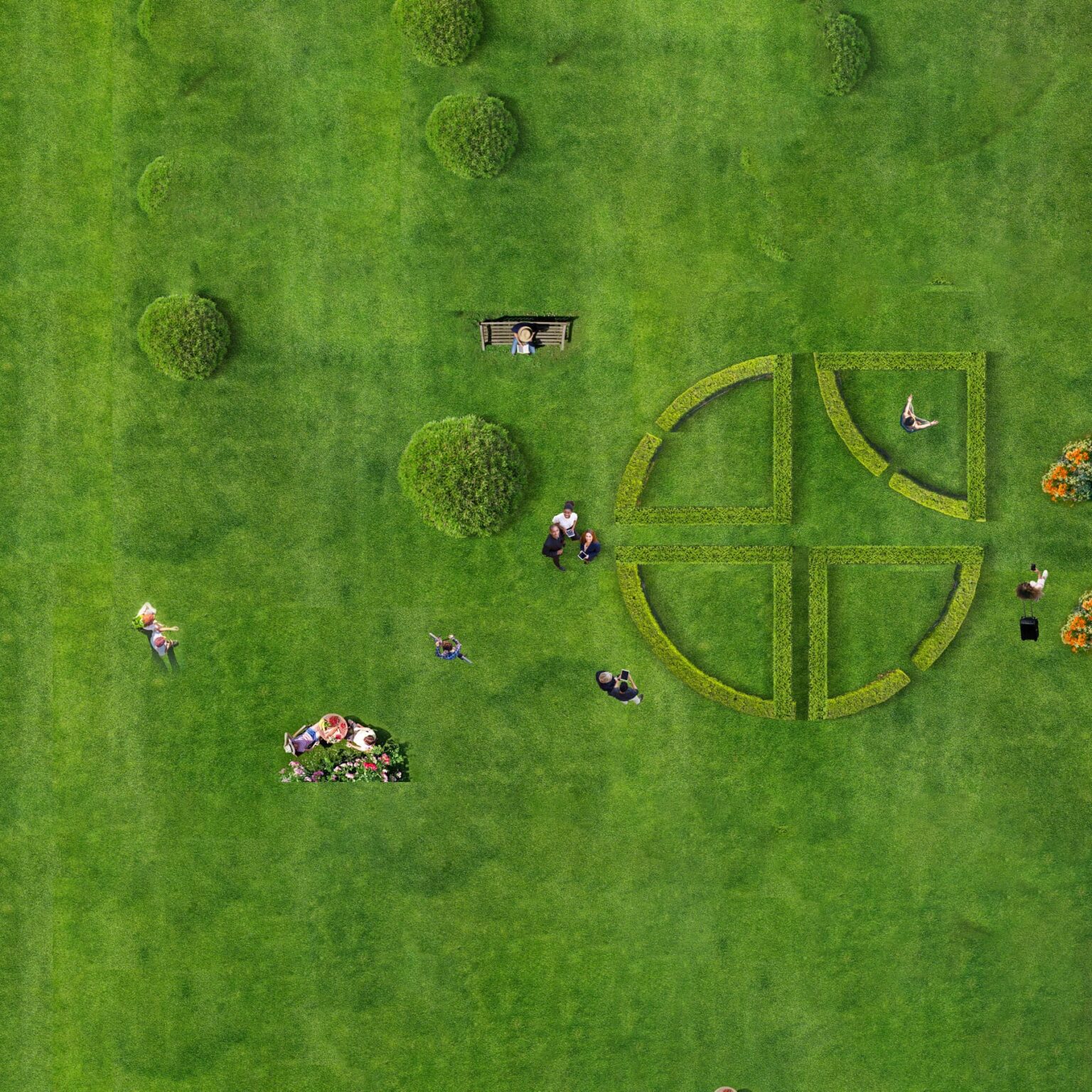 Mindfulness - Murphy Clarke