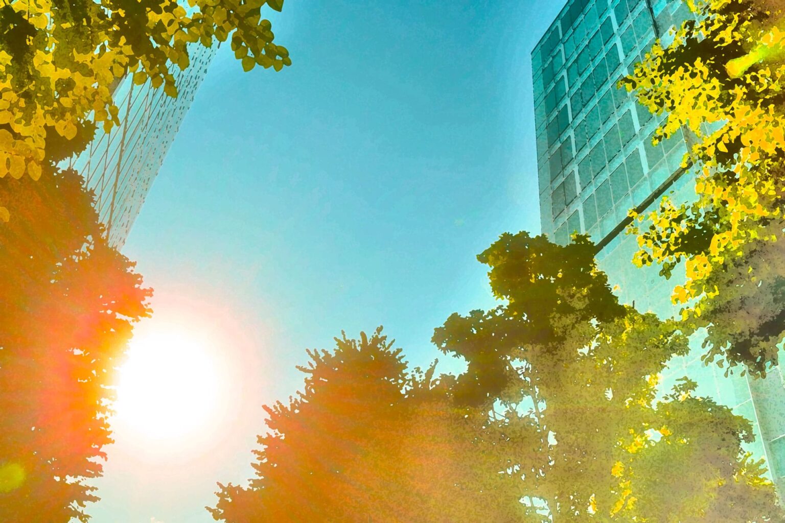 Welcome to Murphy Clarke Financial, Trinidad and Tobago